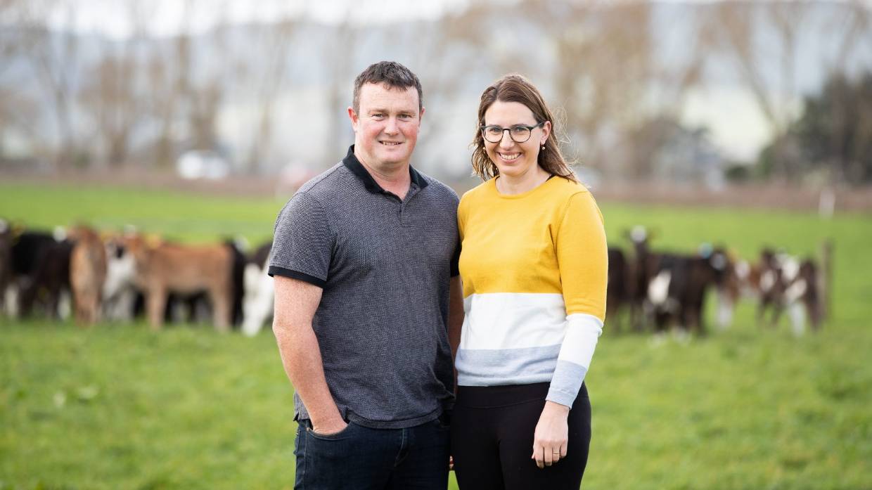 View from the Cow Shed - what farmers want in election 2020 - eDairyNews-BR